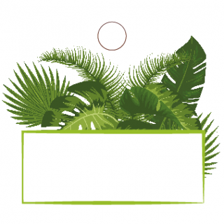 12 étiquettes thème tropical mes-fetes.com
