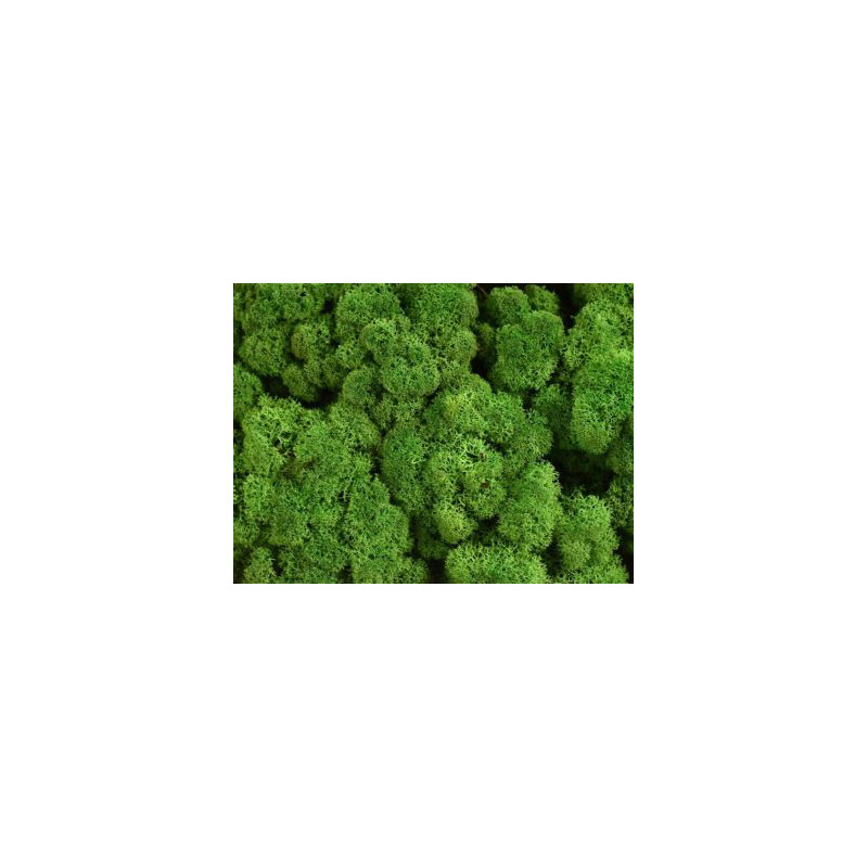 Mousse stabilisé naturelle verte 200 gr