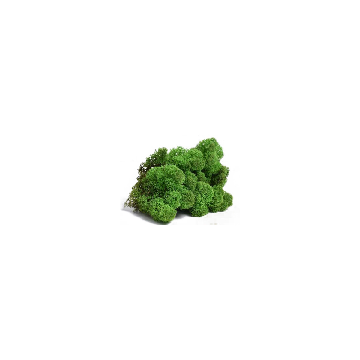 Mousse stabilisé naturelle verte 200 gr